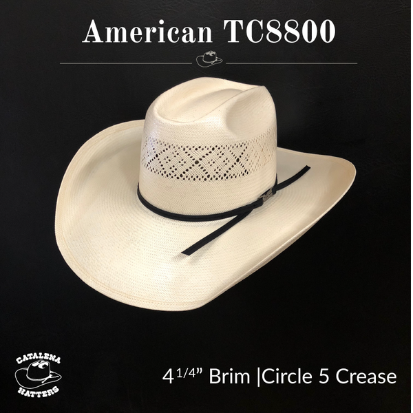 TC8800 - Catalena Hatters